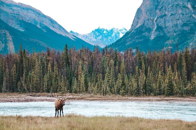 Moraine Lake, Lake Louise & Banff Secrets | Award-Winning Tour - FAQ
