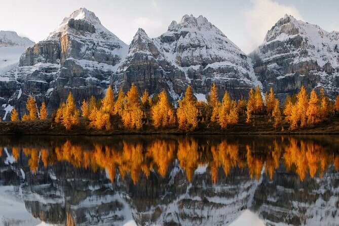 Moraine Lake & Lake Louise Sunset & Wildlife Adventure - Overview of the Tour: What to Expect