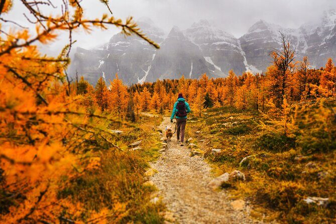 Moraine Lake: Larch Valley Hike, Departure from Banff - Key Points