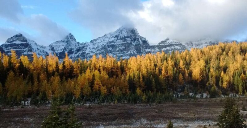 Moraine Lake & Larch Valley Hike - The Experience in Detail