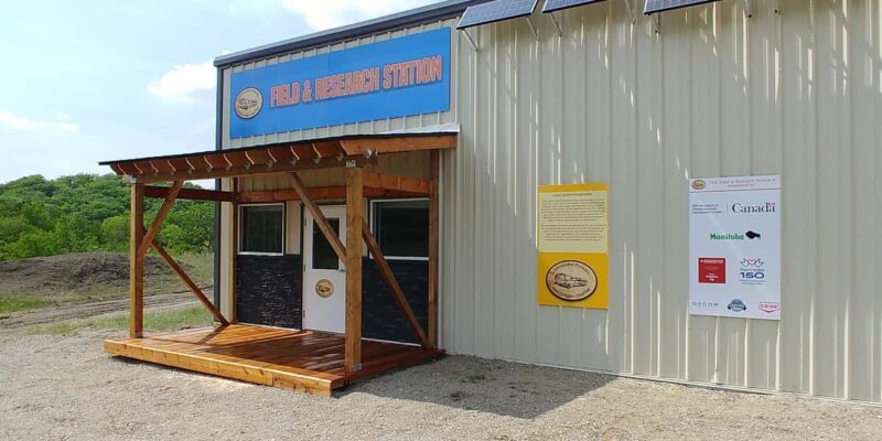 Morden, Manitoba: Full-Day Fossil Dig Tour with Instructor - Key Points