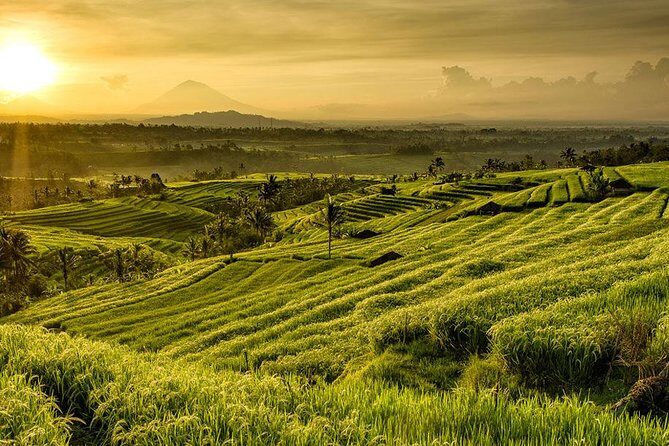 More Complete: Discover Bali In 3 Days Private Tour Package - Authentic Experiences and Traveler Insights