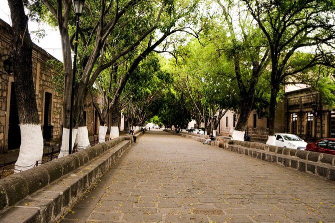 Morelia City Tour - Who Should Take This Tour?