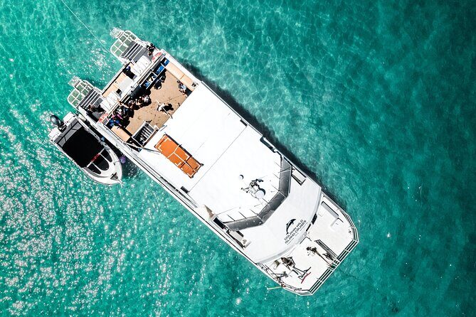 Moreton Island Eco Marine Safari Cruise and Snorkel - What to Expect on the Tour