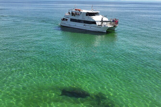 Moreton Island Eco Marine Safari Cruise and Snorkel - The Sum Up