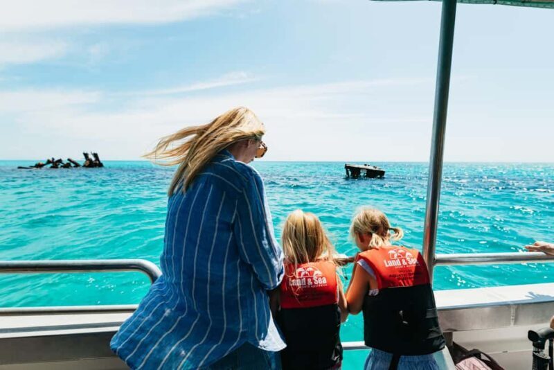 Moreton Island: Marine Discovery Cruise & Dolphin Feeding - The Sum Up