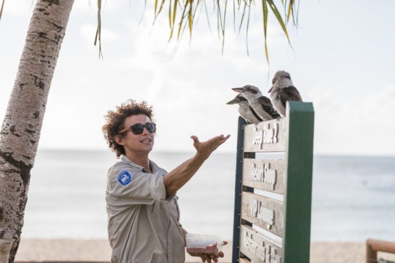 Moreton Island: Marine Discovery Cruise & Dolphin Viewing - Exploring Moreton Island: Marine Discovery Cruise & Dolphin Viewing – A Detailed Review