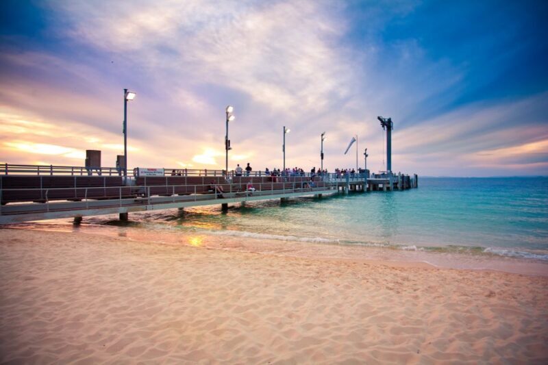 Moreton Island: Marine Discovery Cruise & Dolphin Viewing - Frequently Asked Questions