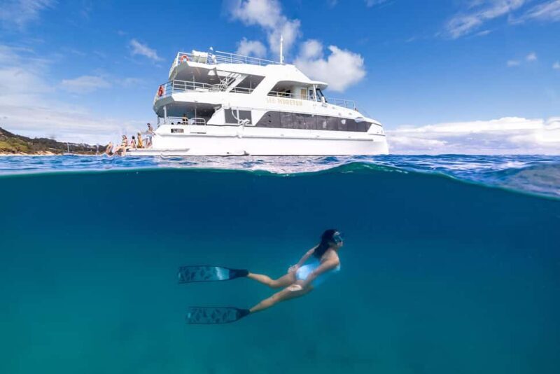 Moreton Island: Premium Tangalooma Snorkel & Dolphin Tour - Setting the Scene: What Is This Tour All About?
