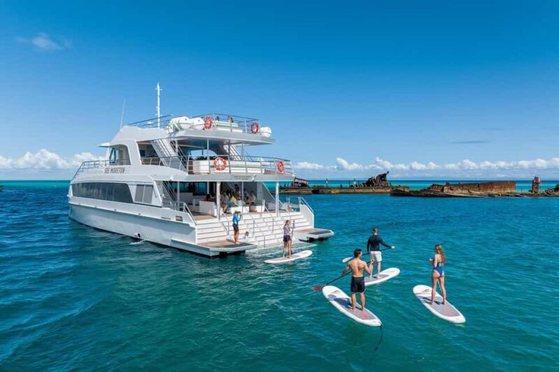 Moreton Island: Premium Tangalooma Snorkel & Dolphin Tour - Dolphins and Marine Wildlife Encounters