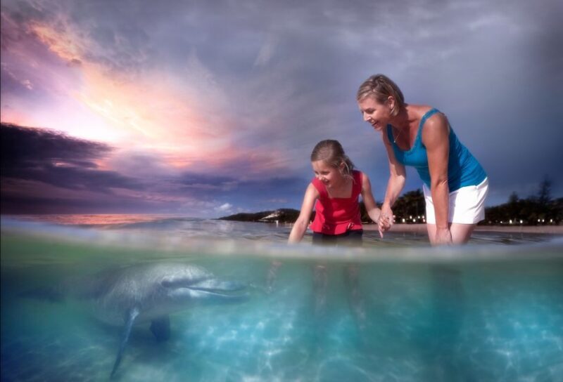 Moreton Island: Tangalooma ATV Quad Bike & Dolphin Feeding - Who Is This Tour Best Suited For?