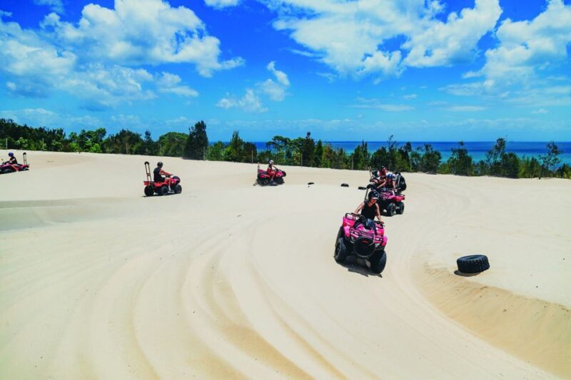 Moreton Island: Tangalooma ATV Quad Bike & Dolphin Feeding - Final word