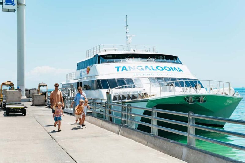 Moreton Island: Tangalooma Day Trip Marine Discovery Cruise - The Journey to Moreton Island