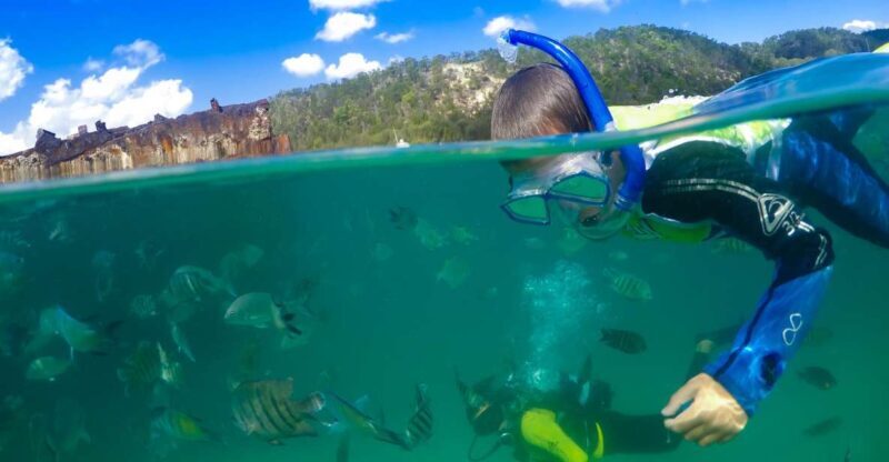 Moreton Island: Tangalooma Day Trip with Snorkeling Tour - What You Can Expect from This Tour
