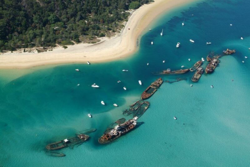 Moreton Island: Tangalooma Day Trip with Snorkeling Tour - Who Will Love This Tour?