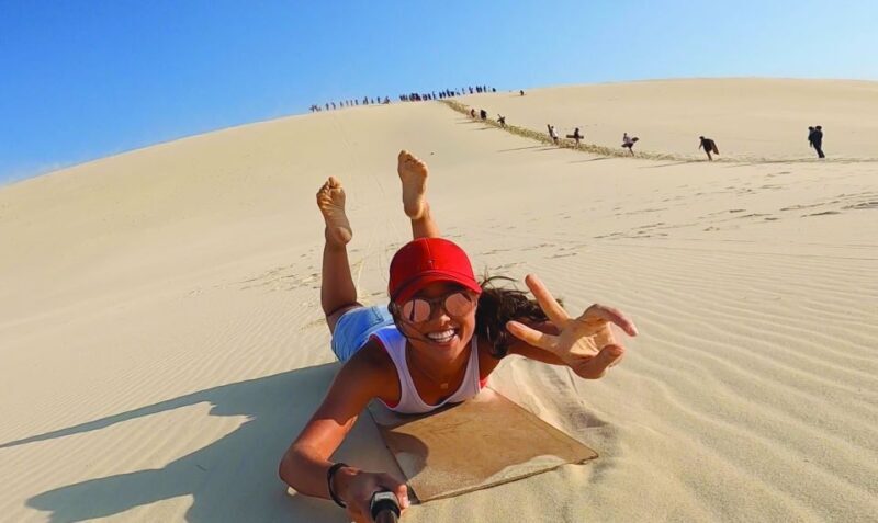 Moreton Island: Tangalooma Desert Safari and Dolphin Feeding - Overview of the Tour Experience