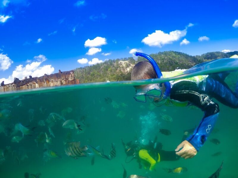 Moreton Island: Tangalooma Snorkeling Tour & Dolphin Feeding - An Inviting Day Trip to Moreton Island: What You Can Expect