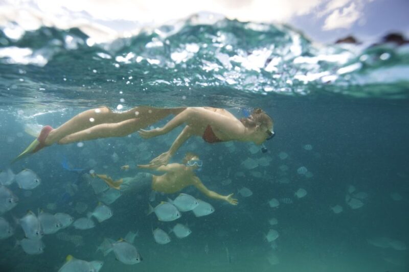 Moreton Island: Tangalooma Snorkeling Tour & Dolphin Feeding - FAQ