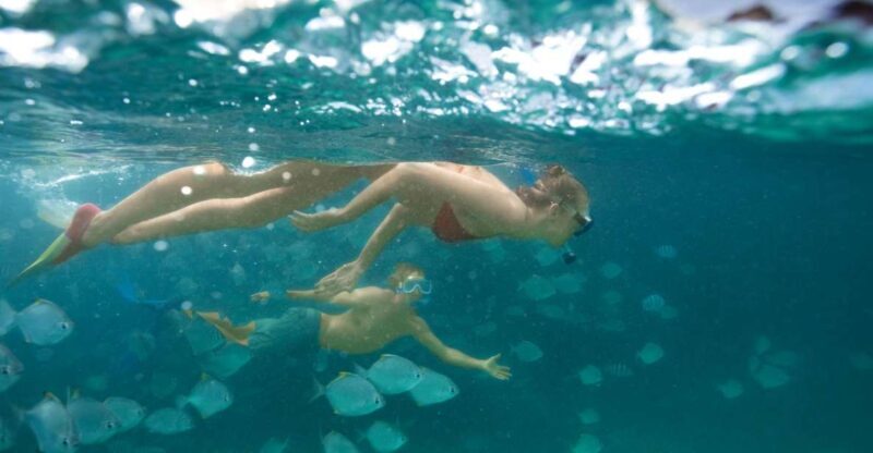 Moreton Island: Tangalooma Snorkelling with Dolphin Viewing - Who Should Consider This Tour?