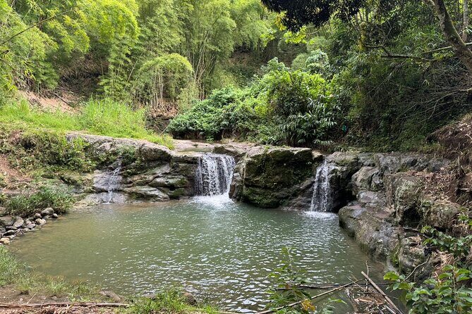 Morgan's Pond Cave and Christiana Extinct Volcanic Crater Hike - Who Will Enjoy This Tour?