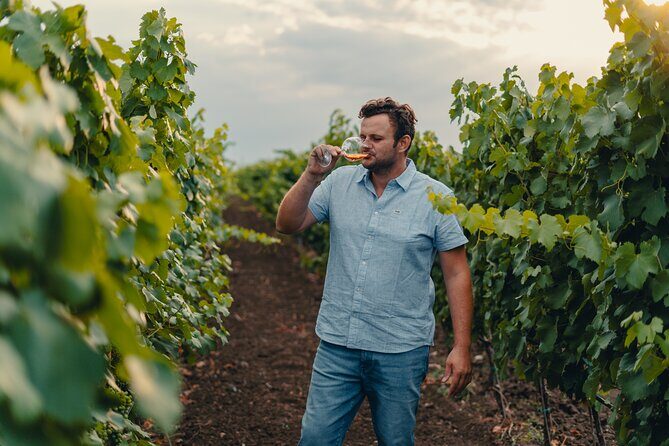 Morigine Wine Lovers-Aperitif in the Vineyard at Sunset - Practical Tips for Visitors