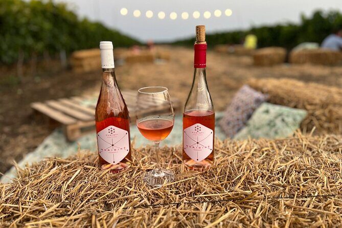 Morigine Wine Lovers-Aperitif in the Vineyard at Sunset - Who Will Love This Experience?