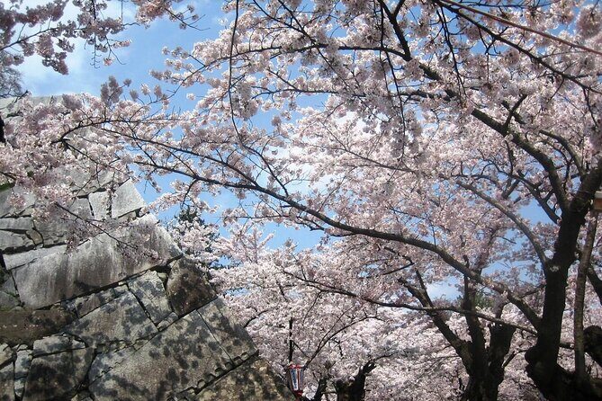 Morioka Full-Day Private Tour with Government-Licensed Guide - Why choose this tour?