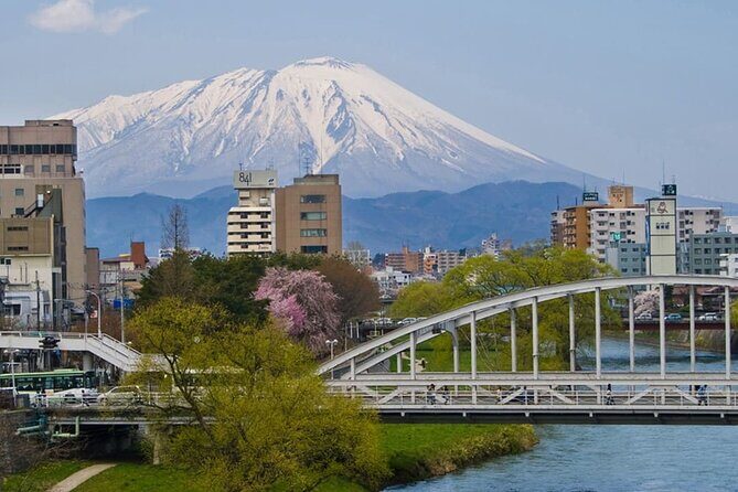 Morioka Full-Day Private Tour with Government-Licensed Guide - Practical Tips for Travelers
