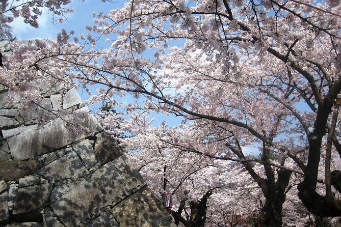 Morioka Half-Day Private Tour with Government-Licensed Guide - The Experience in Detail