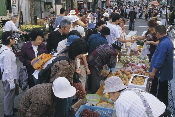 Morioka Half-Day Private Tour with Government-Licensed Guide - FAQs