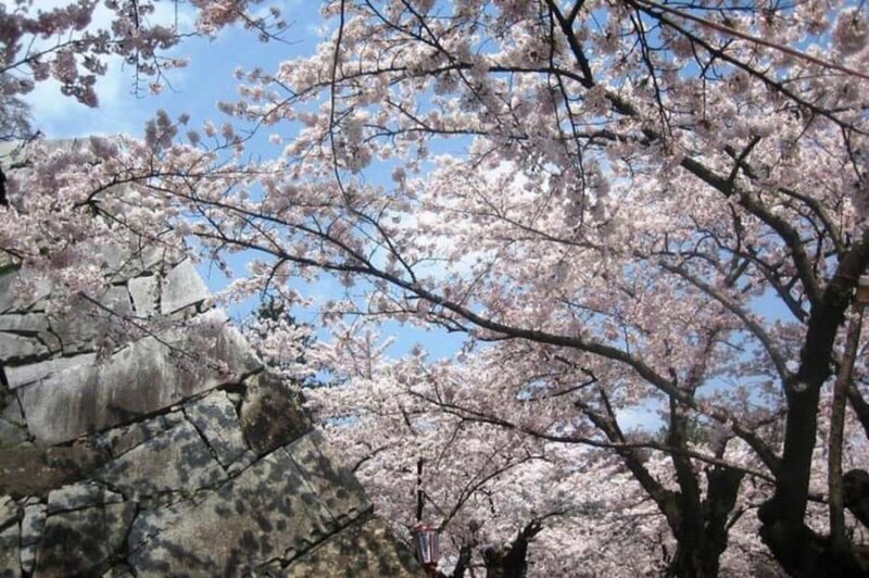 Morioka: Private Guided Tour with Government-Licensed Guide - Key Points