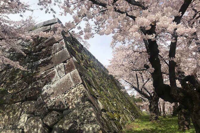 Morioka Town Half Day Walking Shared Tour with Wanko -Soba - An In-Depth Look at the Morioka Walking Tour