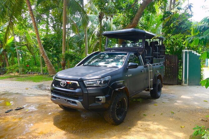 Morning 07 Hour Shared Safari at Yala National Park by Yala La Safari Tours - What Makes This Safari Stand Out