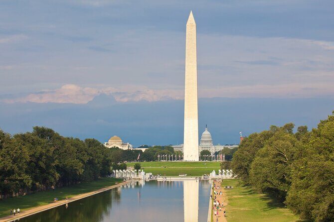 Morning Cherry Blossom Bus Tour with Washington Monument Ticket - The Value for Money