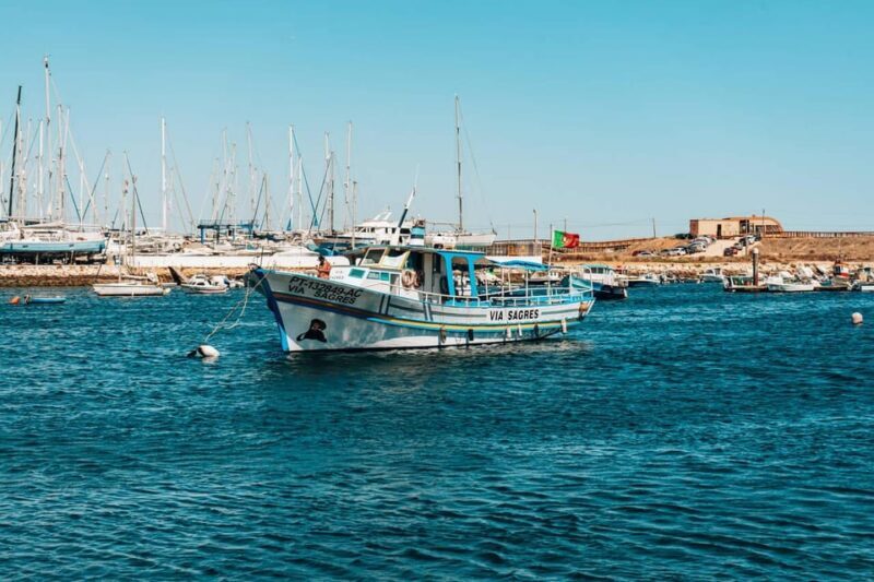Morning Coastal Cruise - Introduction to the Experience