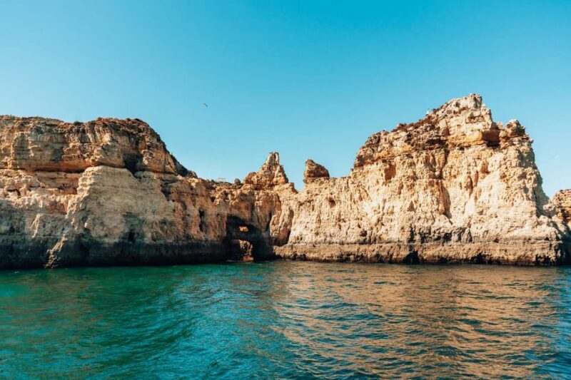 Morning Coastal Cruise - Authentic Reviews and What Travelers Say