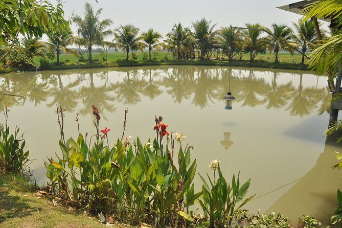 Morning Cooking Class in Organic Farm with Local Market Tour - What Makes This Tour Special?