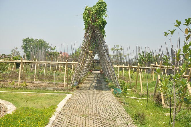 Morning Cooking Class in Organic Farm with Local Market Tour - FAQ