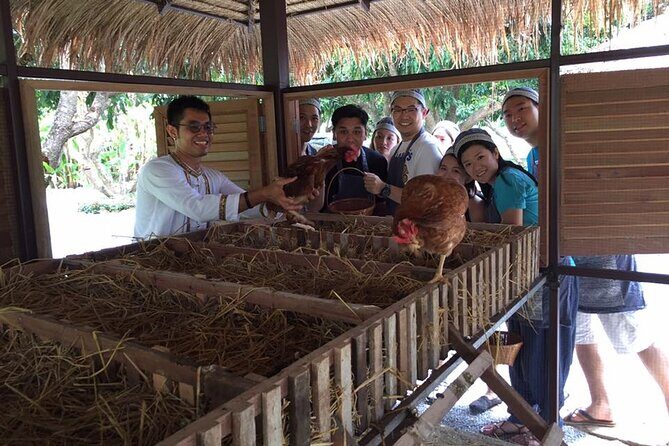 Morning Cooking Class in Traditional Pavilion with Beautiful Garden - Chiang Mai - Who Would Love This Tour?