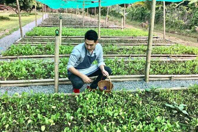 Morning Cooking Class in Traditional Pavilion with Beautiful Garden - Chiang Mai - Final Thoughts