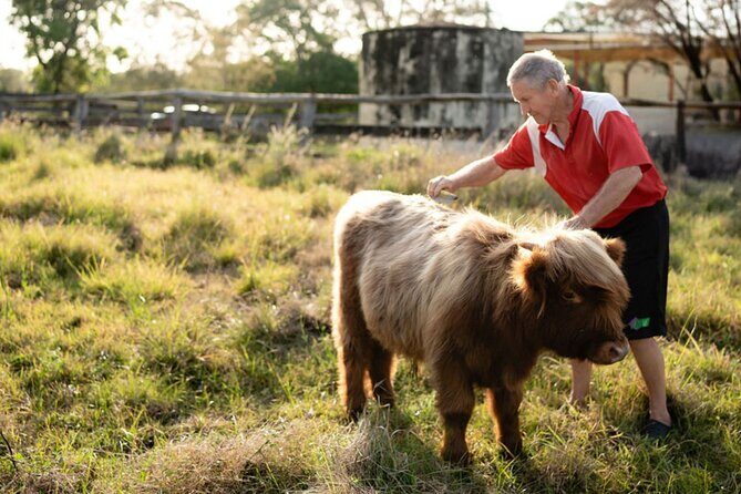Morning Farm Experience near Gympie & Noosa - Frequently Asked Questions