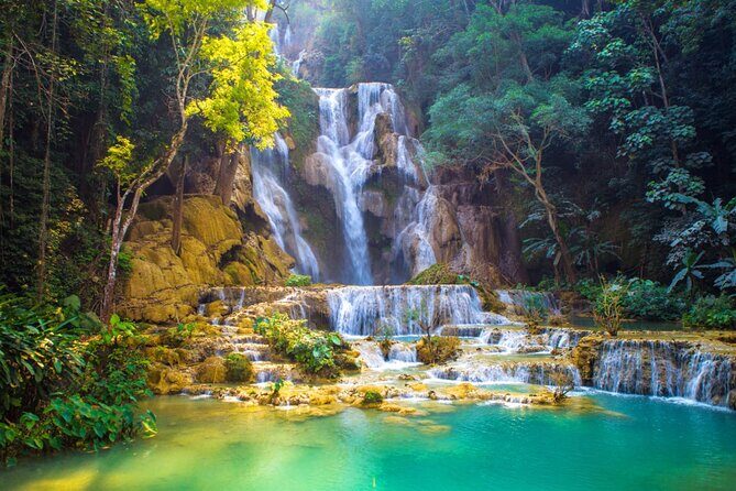 Morning food tour with market Temples option Kuangsi waterfall - A Deep Dive Into Your Luang Prabang Day