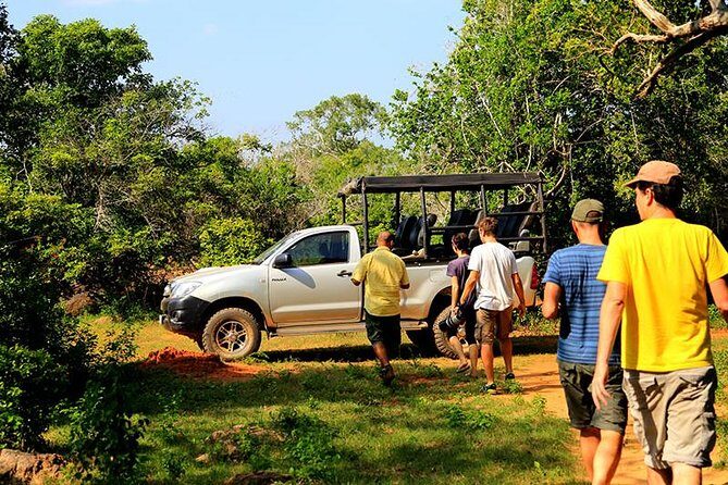 Morning game drive in Yala National Park - The Realistic Expectation: What You’ll Get