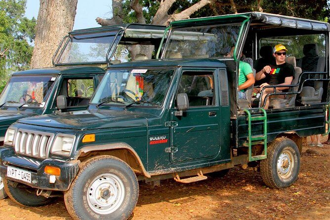 Morning game drive in Yala National Park - The Sum Up