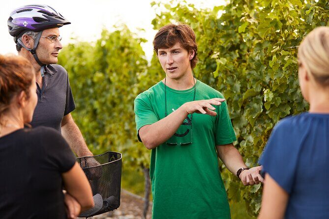 Morning Guided with Afternoon Self-Guided Biking Wine Tour - Introducing the Morning Guided with Afternoon Self-Guided Biking Wine Tour