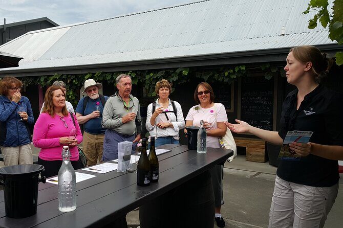 Morning Guided with Afternoon Self-Guided Biking Wine Tour - Who Would Love This Tour?
