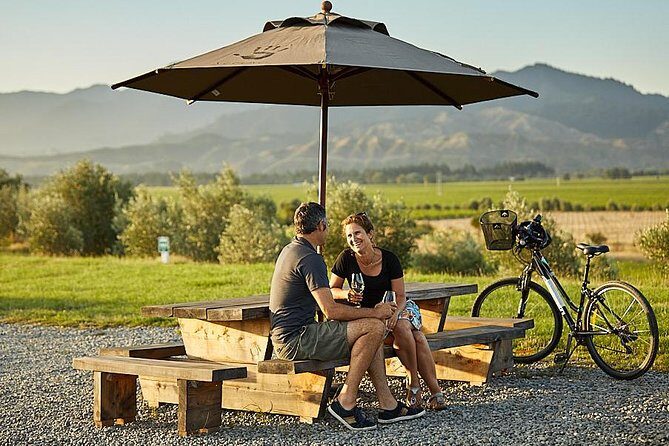 Morning Guided with Afternoon Self-Guided Biking Wine Tour - Final thoughts