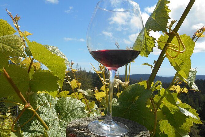 Morning Half Day Carmel Valley Wine Tasting Tour - The Experience in Detail