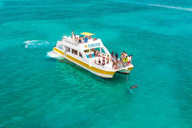 Morning Half Day Cruise from Providenciales with Snorkeling and Iguana Island - A Detailed Look at the Tour Experience