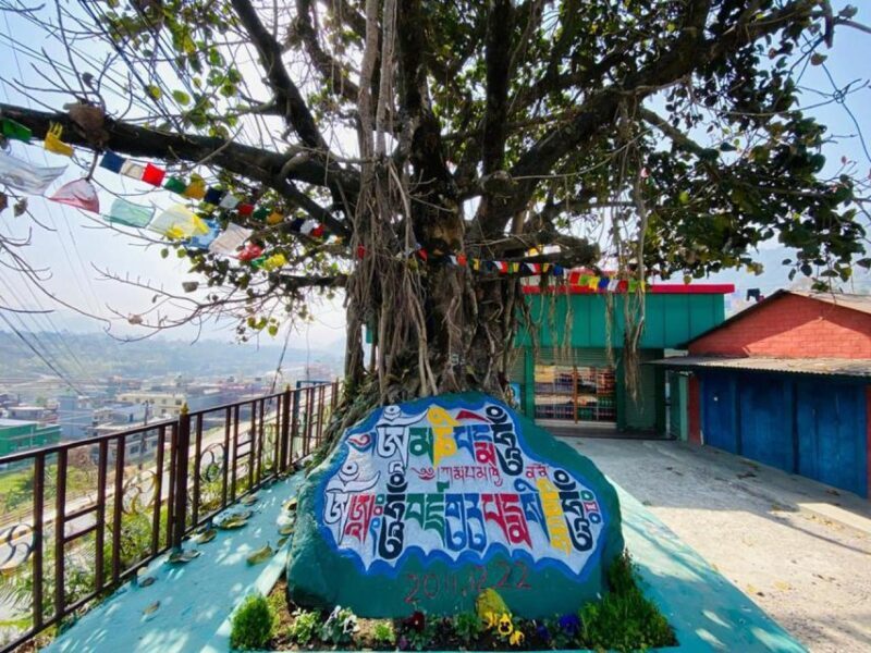 Morning half day Tibetan cultural tour - Who Will Love This Tour?